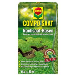 Nachsaatrasen 'Compo Saat' 1 kg