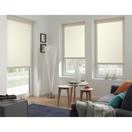 Gardinia EasyFix Rollo 'Uni' wei&szlig; 60 x 150 cm
