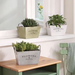 Pflanzer "Flowers & Plants", 3er Set
