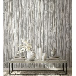 Fototapete marburg "Fee", grau (grau, beige), B:1,59m L:2,7m, Vlies, Tapeten, moderne Tapete f&uuml;r Wohnzimmer Schlafzimmer K&uuml;che