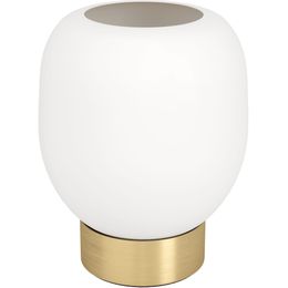 Eglo Tischleuchte "MANZANARES Tischlampe, Stahl und Glas, E27, Nachttischlampe, Lampe", gold (messingfarben, goldfarben), &Oslash; 14,5cm H: 18cm, 1 Stk., Leuchten, Tischleuchte, H18 x &Oslash;14,5, messing-geb&uuml;rstet, gold, 1X40W exkl., Tischleuchte