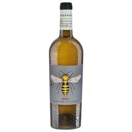 Bodegaverde Macabeo 2023, Wei&szlig;wein, trocken, Spanien, Cari&ntilde;ena, 1 Flasche &agrave; 0,75 l