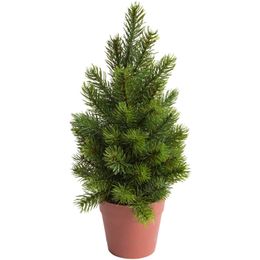 K&uuml;nstliche Zimmerpflanze BOTANIC-HAUS "Tannenbaum im braunem Kunststofftopf", gr&uuml;n, B:16cm H:35cm T:16cm &Oslash;:16cm, Kunststoff, Kunstpflanzen, K&uuml;nstliche Zimmerpflanze