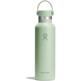 Trinkflasche Hydro Flask "21 OZ Standard Flex Cap", gr&uuml;n (aloe), H:23,9cm, Edelstahl, Trinkflaschen, Trinkflasche, TempShield️ doppelwandige Vakuumisolierung