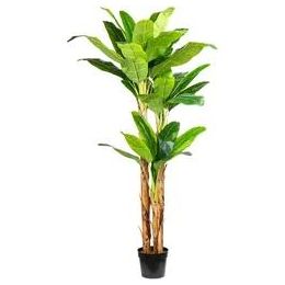 Kunstpalme Creativ green "Bananenpflanze", gr&uuml;n, H:240cm, Kunststoff, Kunstpflanzen