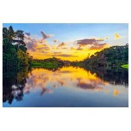 Fototapete papermoon "REGENWALD-AMAZONAS WALD LAGUNE SONNENMUNTERGANG FLUSS", bunt, B:2,5m L:1,86m, Vlies, Tapeten