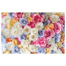Fototapete papermoon "ROSEN-BLUMEN ABSTRAKT TEXTUR MUSTER FARBIG DEKO GARTEN", bunt, B:2,5m L:1,86m, Vlies, Tapeten