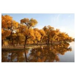 Fototapete papermoon "HERBST LANDSCHAFT-CHINA SEE WALD B&Auml;UME STRAND SONNE", bunt, B:3m L:2,23m, Vlies, Tapeten