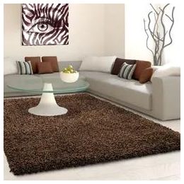 Hochflor-Teppich Ayyildiz TEPPICHE "Life Shaggy 1500", braun, B:240cm H:30mm L:340cm, Kunstfaser, Teppiche, Langflor, uni, gro&szlig;e Farbauswahl, robust, auch als L&auml;ufer und in rund