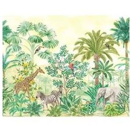 Vliestapete Komar "Digitaldruck Vlies - Jungle Adventure - Gr&ouml;&szlig;e 350 x 280 cm", bunt, B:350m L:280m, Vlies, Tapeten, Kinderzimmer