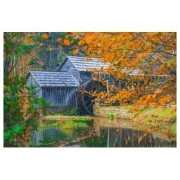 Fototapete papermoon "SEE-LANDSCHAFT-M&Uuml;HLE WALD WALD FLUSS STRAND BOOTE SONNE", bunt, B:2,5m L:1,86m, Vlies, Tapeten