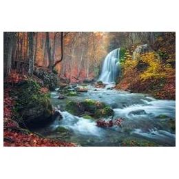 Fototapete papermoon "Wasserfall im Wald", bunt, B:2,5m L:1,86m, Vlies, Tapeten