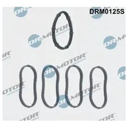 DR.MOTOR AUTOMOTIVE Dichtungssatz, Ansaugkr&uuml;mmer DRM0125S f&uuml;r RENAULT OPEL 93160226 4410363 4410362