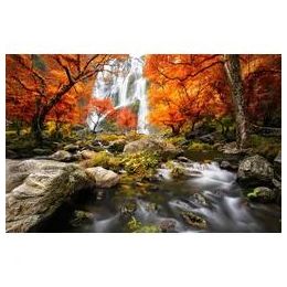 Fototapete papermoon "WASSERFALL-HERBST WALD B&Auml;UME STEINE FLUSS LANDSCHAFT", bunt, B:2,5m L:1,86m, Vlies, Tapeten