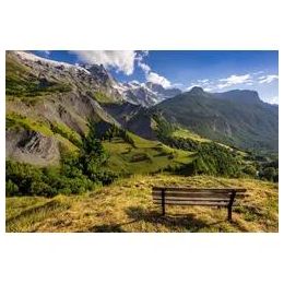 Fototapete papermoon "BERGE-NATUR LANDSCHAFT GEBIRGE ALPEN B&Auml;UME WALD TAPETE", bunt, B:2,5m L:1,86m, Vlies, Tapeten