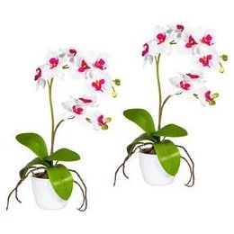 Kunstpflanze Creativ green "Orchidee Phalaenopsis", rosa, H:60cm, Kunststoff, Polyester, Kunstpflanzen, Kunstpflanze, im Keramiktopf