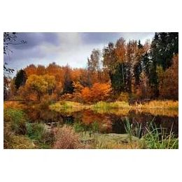 Fototapete papermoon "Fluss am Wald", bunt, B:3m L:2,23m, Vlies, Tapeten