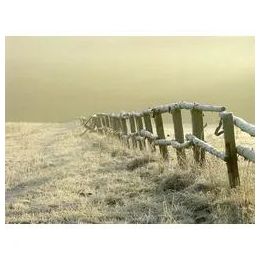 Fototapete papermoon "Zaun im nebligen Feld", bunt, B:2,5m L:1,86m, Vlies, Tapeten