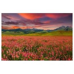 Fototapete papermoon "GEBIRGE-FELD BLUMEN BERGE WIESE SONNE WALD FLUSS WOLKEN", bunt, B:2,5m L:1,86m, Vlies, Tapeten