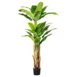 Kunstpalme Creativ green "Bananenpflanze", gr&uuml;n, H:180cm, Kunststoff, Kunstpflanzen