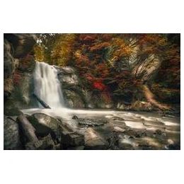 Fototapete papermoon "WASSERFALL-HERBST WALD MEER FLUSS INSEL STEINE B&Auml;UME", bunt, B:2,5m L:1,86m, Vlies, Tapeten