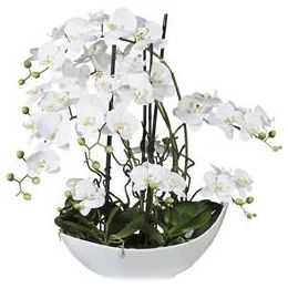 Kunstorchidee Creativ green "Phalaenopsisarrangement, 68cm weiss", wei&szlig;, H:68cm, Kunststoff, Kunstpflanzen, in Keramikschale