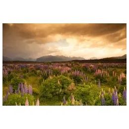 Fototapete papermoon "GEBIRGE-FLUSS SEE BERGE WALD HIMMEL BACH WIESE BLUMEN", bunt, B:3m L:2,23m, Vlies, Tapeten