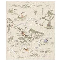 Vliestapete Komar "Digitaldruck Vlies - Winnie the Pooh Map - Gr&ouml;&szlig;e 200 x 240 cm", bunt (braun, grau, schwarz), B:200m L:240m, Vlies, Tapeten, Kinderzimmer