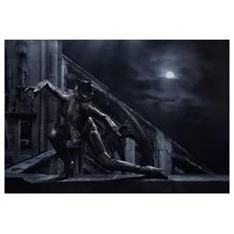 Fototapete papermoon "CAT WOMAN-SUPERHELDIN II", bunt, B:3m L:2,23m, Vlies, Tapeten