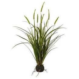 Kunstgras Creativ green "Miscanthus im Erdballen", gr&uuml;n, H:75cm, Obermaterial: 100% Polyethylen, Kunstpflanzen