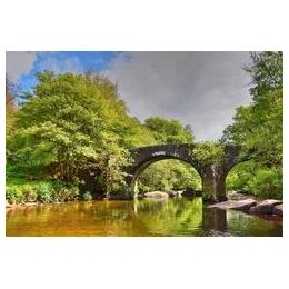 Fototapete papermoon "Br&uuml;cke im Wald", bunt, B:3m L:2,23m, Vlies, Tapeten