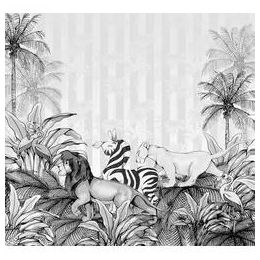 Vliestapete Komar "Digitaldruck Vlies - Lion King Monochrome - Gr&ouml;&szlig;e 300 x 280 cm", bunt, B:300m L:280m, Vlies, Tapeten, Kinderzimmer