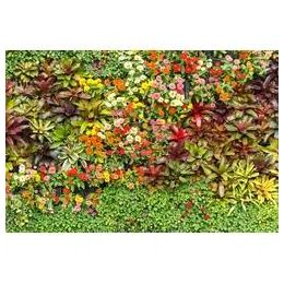 Fototapete papermoon "BLUMEN-ABSTRAKT MUSTER GARTEN PFLANZEN DEKOR NATUR", bunt, B:3m L:2,23m, Vlies, Tapeten