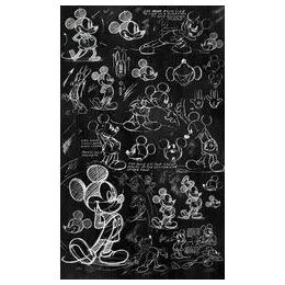 Vliestapete Komar "Digitaldruck Vlies - Mickey - Chalkboard - Gr&ouml;&szlig;e 120 x 200 cm", grau, B:120m L:200m, Vlies, Tapeten, Kinderzimmer
