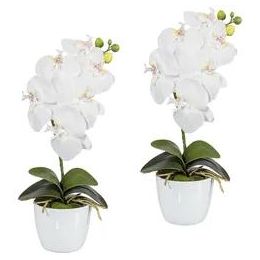 Kunstpflanze Creativ green "Orchidee Phalaenopsis", wei&szlig;, H:40cm, Kunststoff, Polyester, Kunstpflanzen, Kunstpflanze, im Keramiktopf
