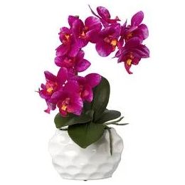 Kunstorchidee Creativ green "Deko-Orchidee Phalaenopsis im Keramiktopf", pink, B:17cm H:33cm T:13cm, Obermaterial: 95% Polyethylen, 5% Polyester, Kunstpflanzen