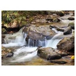 Fototapete papermoon "WASSERFALL-B&Auml;UME FLUSS SEE STEINE BLUME WALD BACH SONNE", bunt, B:2,5m L:1,86m, Vlies, Tapeten