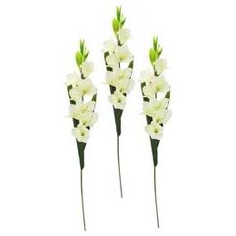 Kunstblume I.GE.A. "Gladiole", wei&szlig;, B:12cm H:93cm, Obermaterial: 98% Polyester, 2% Kunststoff, Kunstpflanzen, 3er Set