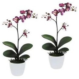 Kunstpflanze Creativ green "Orchidee Phalaenopsis", lila, H:55cm, Kunststoff, Polyester, Kunstpflanzen, Kunstpflanze, im Keramiktopf