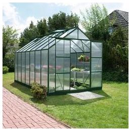Gew&auml;chshaus Konifera "Titania 11500", gr&uuml;n, B:254cm T:441cm, Gew&auml;chsh&auml;user