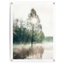 Poster Reinders "Sonne durch die B&auml;ume", gr&uuml;n (farbe bild(er): gr&uuml;n), B:60cm H:80cm T:0,1cm, Leinwand, Bilder, Poster, Outdoor f&uuml;r Garten oder Balkon