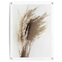 Poster Reinders "Sonniges Gras", beige (farbe bild(er): beige), B:60cm H:80cm T:0,1cm, Leinwand, Bilder, Poster, Outdoor f&uuml;r Garten oder Balkon