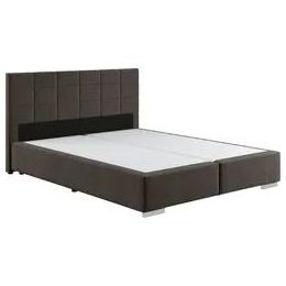 Boxspringbett COTTA "Simba", grau, L:209cm, Komplettbetten, Boxspringbett, wahlweise mit oder ohne Matratze und Topper bestellbar, Topseller