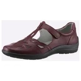 Klettschuh Classic Basics, Damen, Gr. 41, rot (bordeaux), Glattleder, Basic, Schuhe Klettschuh