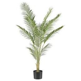 Kunstpalme Creativ green "Ph&ouml;nixpalme", gr&uuml;n, H:150cm, Kunststoff, Kunstpflanzen, mit 12 Wedeln