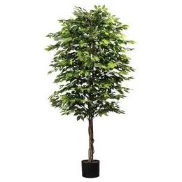 Kunstpflanze Creativ green "Ficus benjamini", gr&uuml;n, H:210cm, Kunststoff, Kunstpflanzen, Kunstpflanze, mit Naturstamm