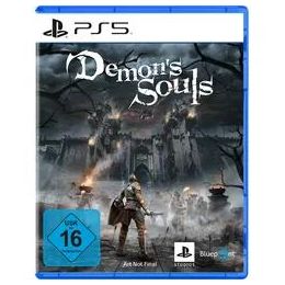 Sony PLAYSTATION 5 Spielesoftware "Demon's Souls", bunt (ohne farbbezeichnung), PlayStation 5, Spielesoftware