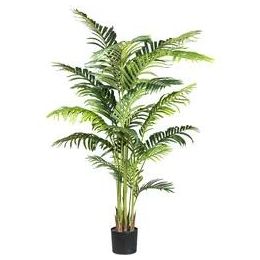 Kunstpalme Creativ green "Kentiapalme", gr&uuml;n, H:160cm, Kunstpflanzen, mit detailgetreuen Wedeln