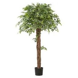 Kunstpflanze Creativ green "Ficus benjamina", gr&uuml;n, H:175cm, Kunststoff, Kunstpflanzen, Kunstpflanze, mit lianenartigem Stamm