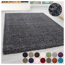 Hochflor-Teppich Ayyildiz TEPPICHE "Life Shaggy 1500", grau, B:60cm H:30mm L:110cm, Kunstfaser, Teppiche, Langflor, uni, gro&szlig;e Farbauswahl, robust, auch als L&auml;ufer und in rund